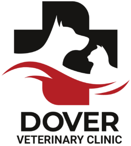 Dover Veterinary Clinic